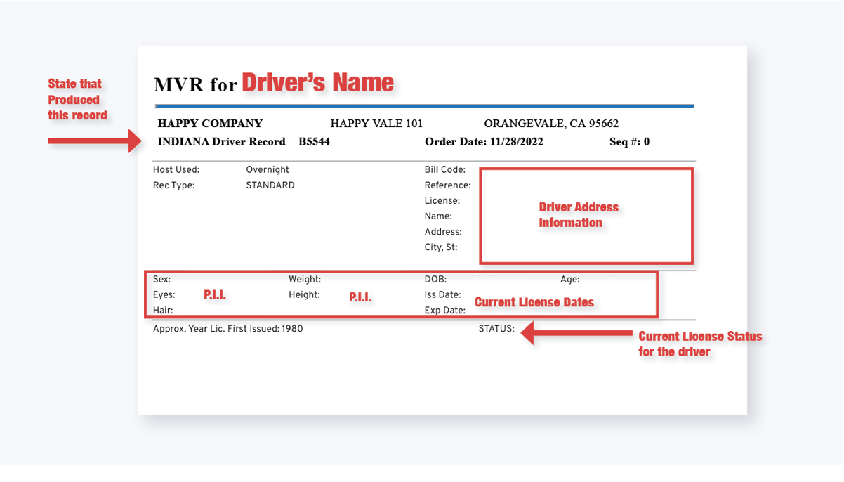 MVR Reports for Employers: 101 Guide
