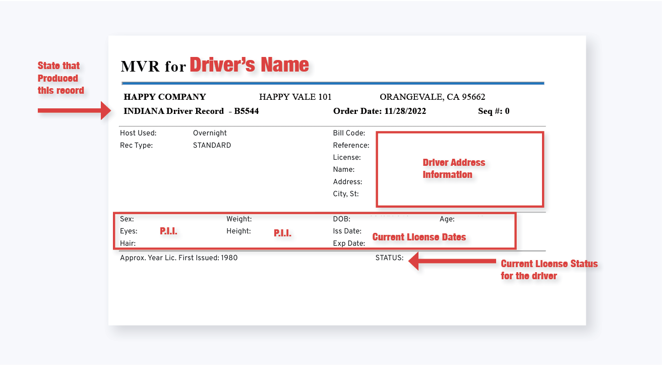 MVR Reports for Employers: 101 Guide